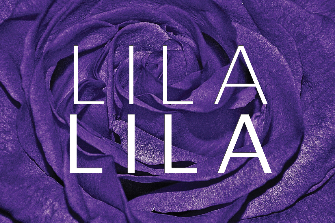 Lila Typeface: A Modern Sans Serif Font