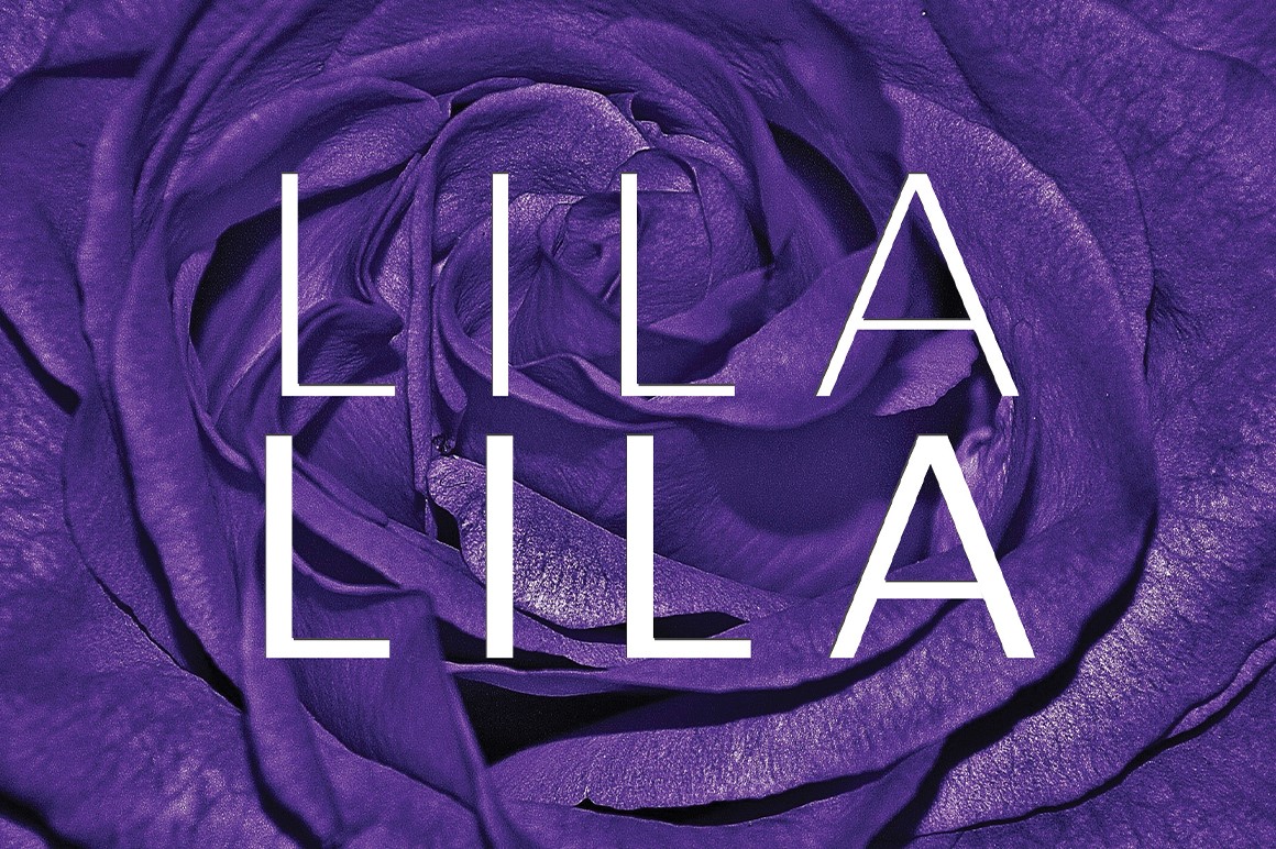 Lila Typeface: A Modern Sans Serif Font | Inventicons