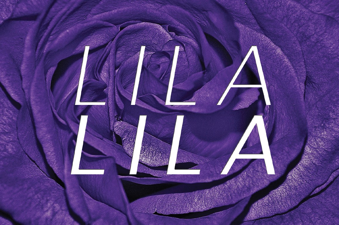 Lila Typeface: A Modern Sans Serif Font | Inventicons