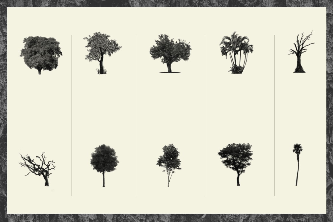 30 Realistic Tree Brushes for Photoshop | Inventicons