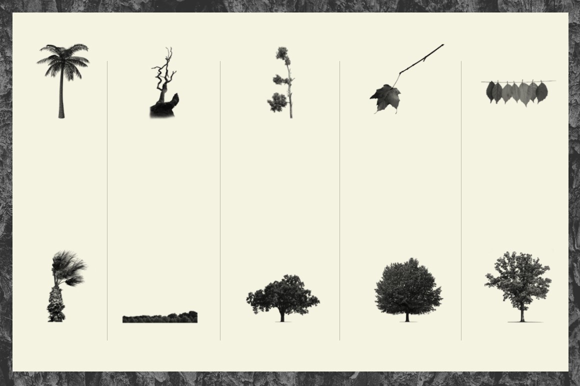 30 Realistic Tree Brushes for Photoshop | Inventicons