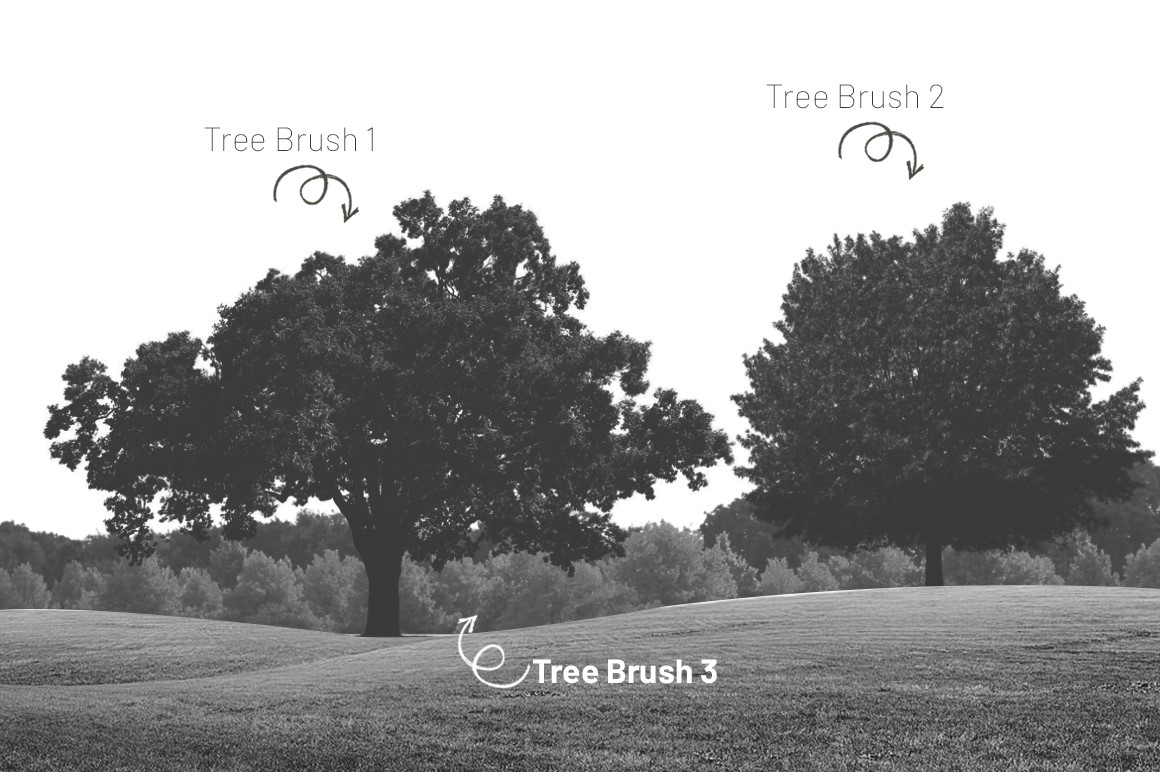 30 Realistic Tree Brushes for Photoshop | Inventicons